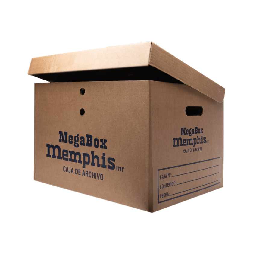 Caja de Archivo Memphis Megabox