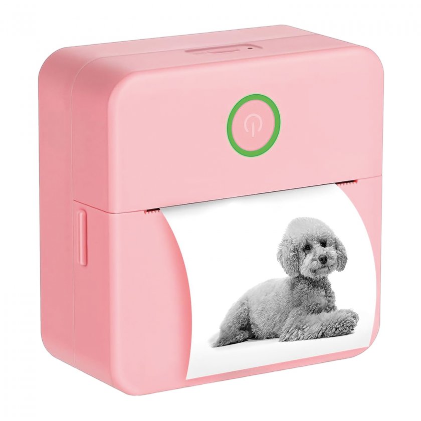 Mini Impresora Adetec Tiny Printer Portátil